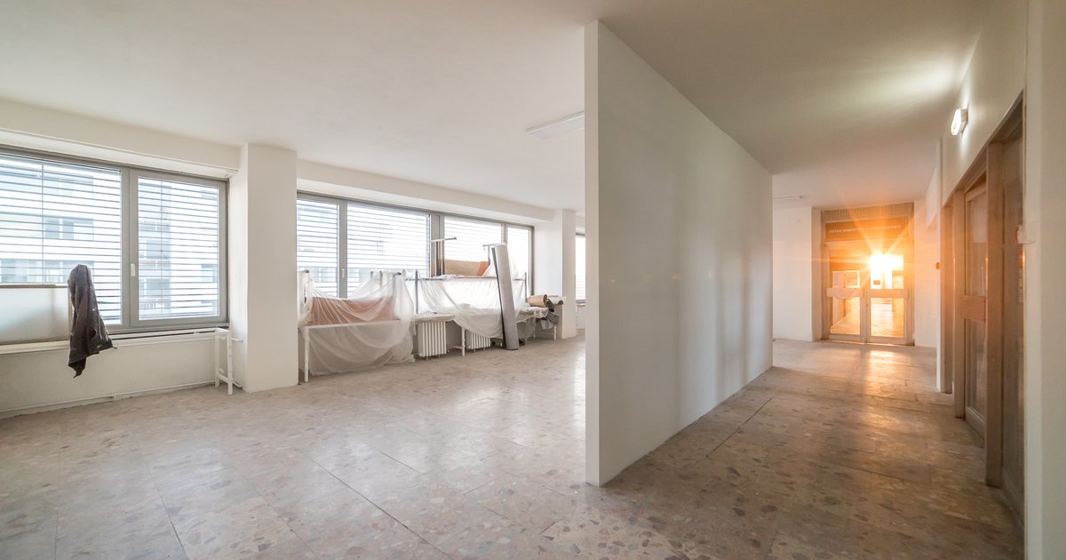 Ústavná revitalizácia